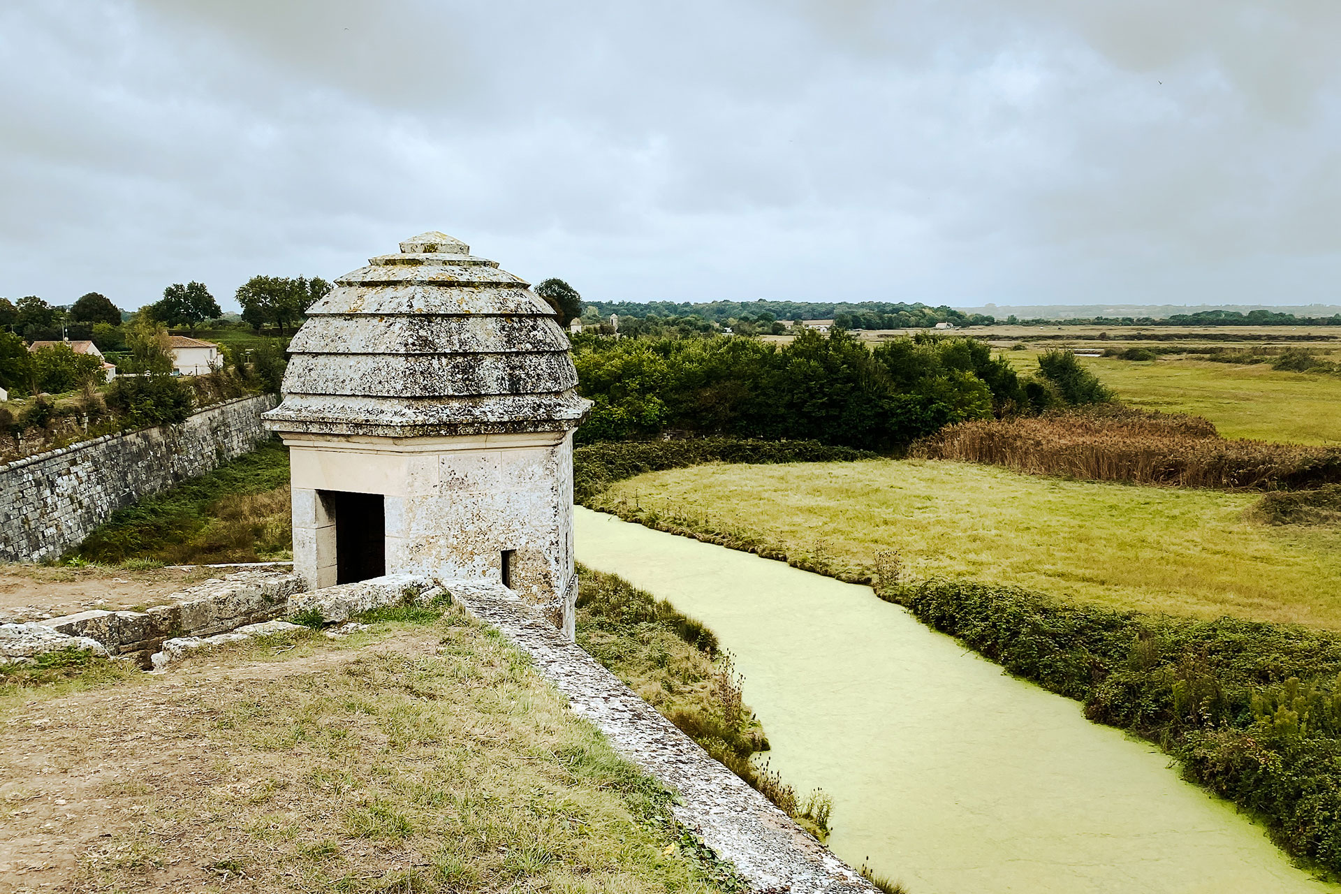 Graphiste Webdesigner • Mon Studio Capsule